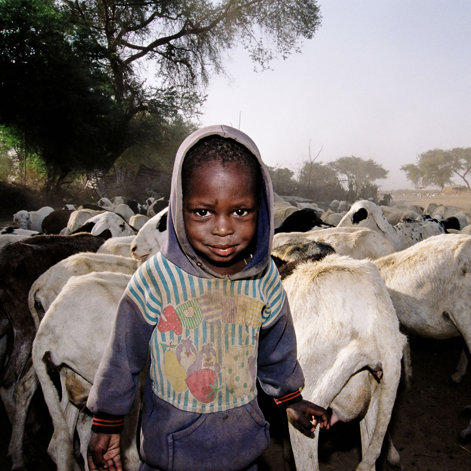 CHRISTOPHE BENE PHOTOGRAPHE - On the senegal river